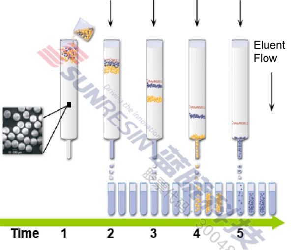 Chromatographic Separation - Sunresin